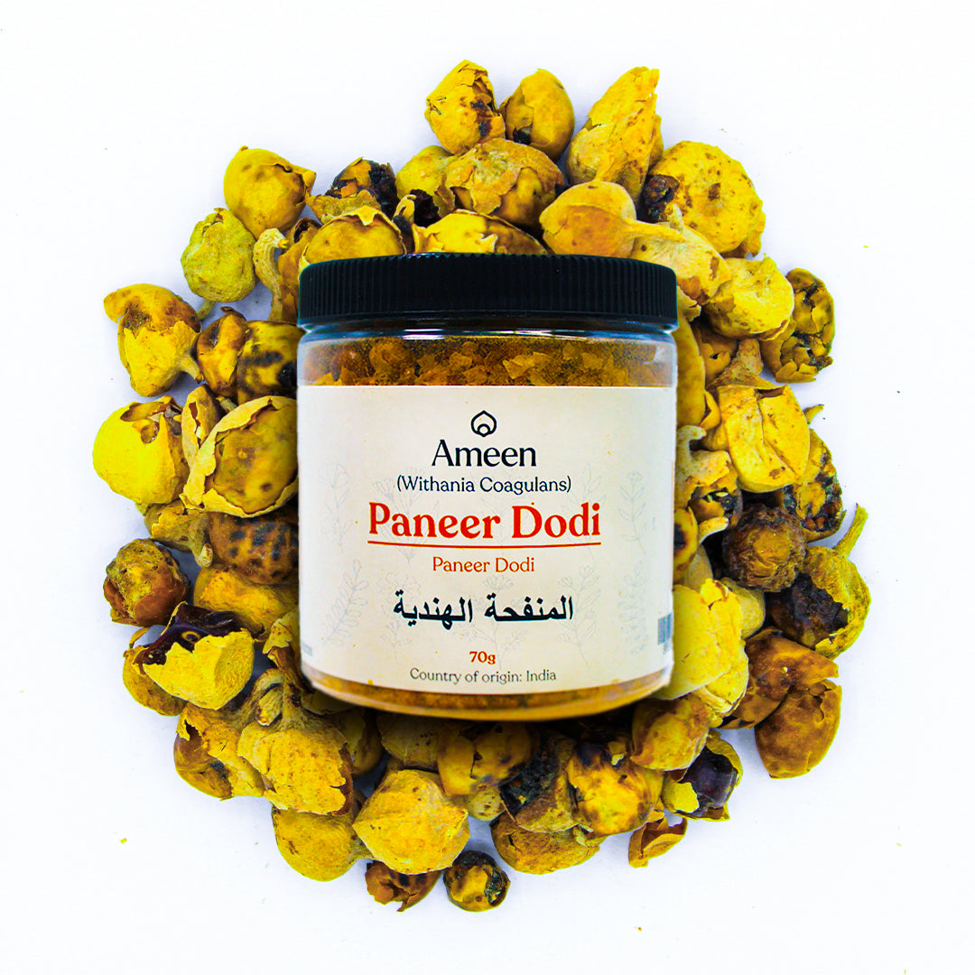 Paneer Dodi (Indian Rennet) – Ameen