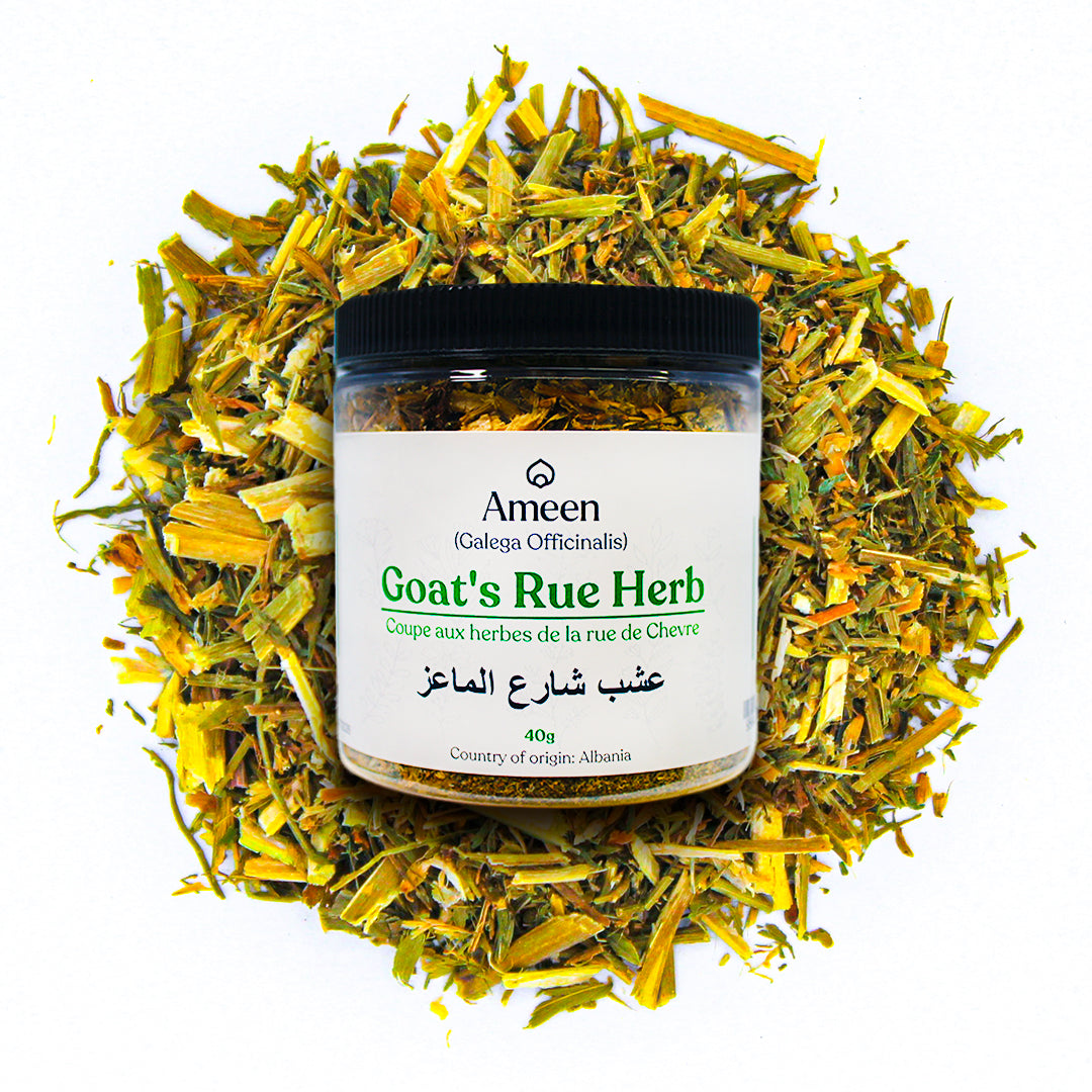 Goat’s Rue Herb – Ameen Foods