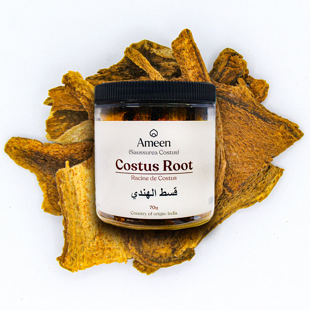 Costus Root – Ameen