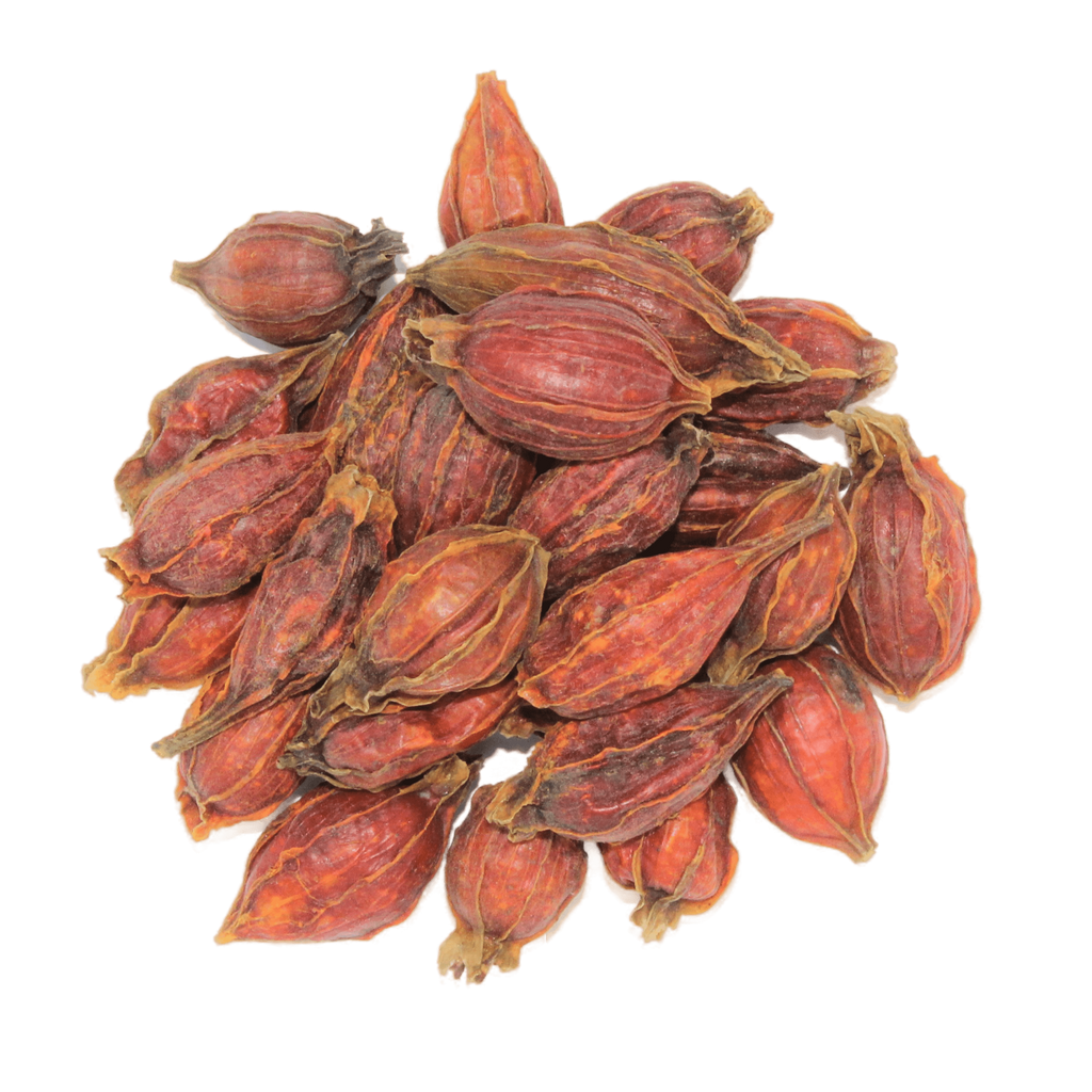 Gardenia Fruit – Ameen