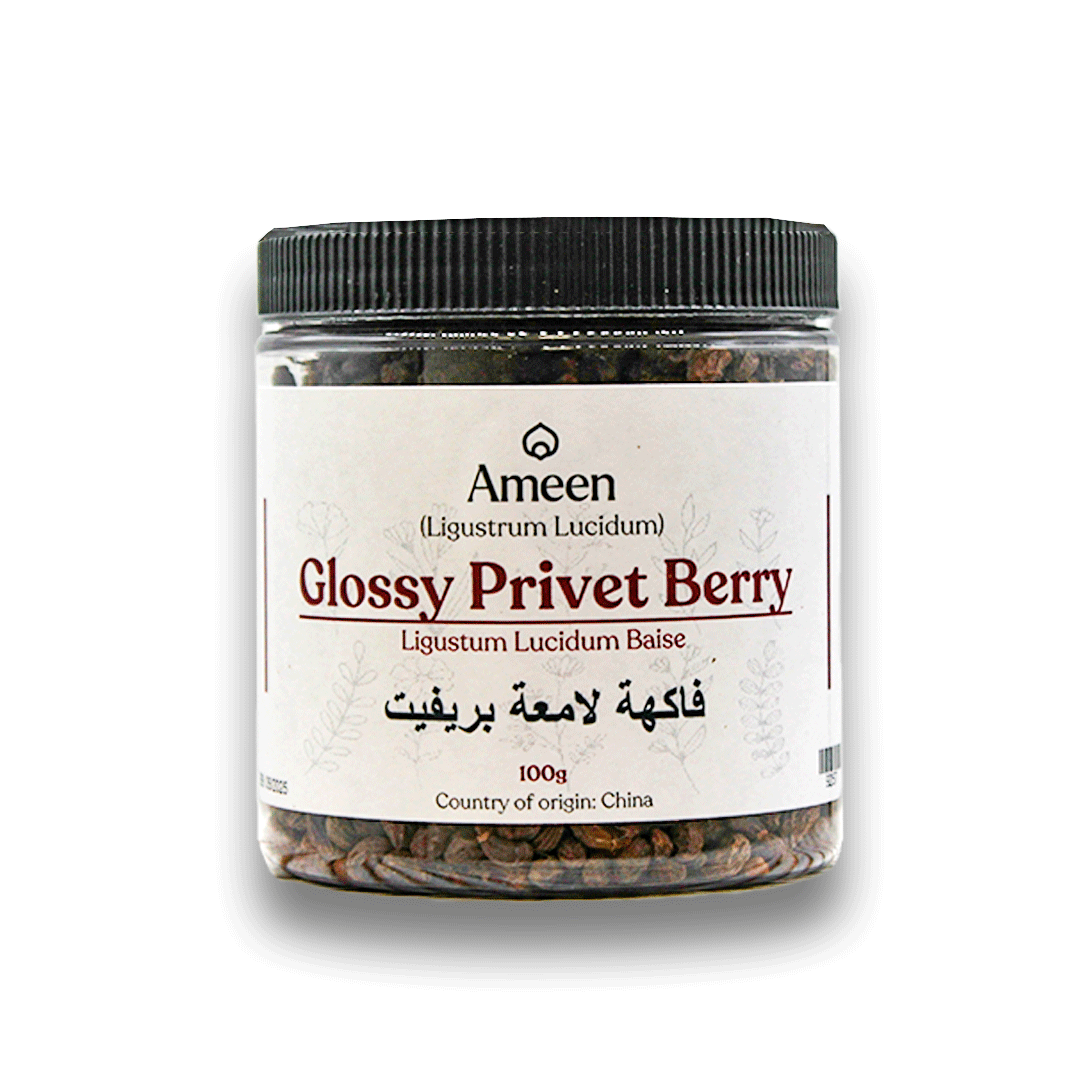 Glossy Privet Fruit – Ameen