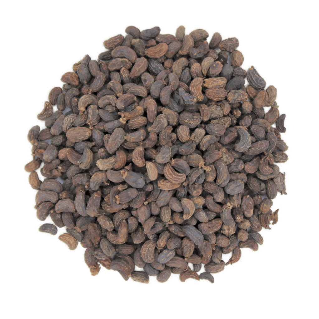 Glossy Privet Fruit – Ameen