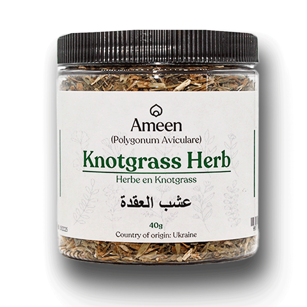 Knotgrass Herb – Ameen
