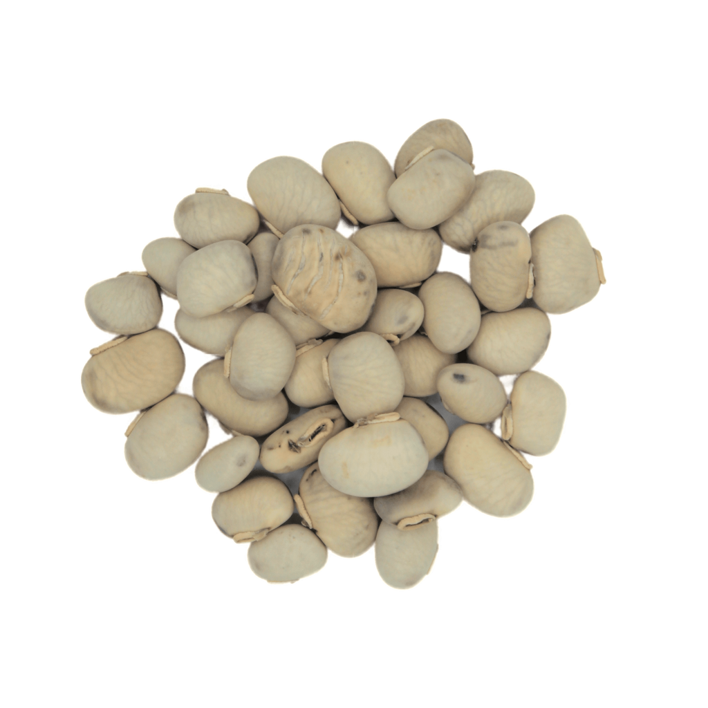 Mucuna Pruriens Seeds White – Ameen